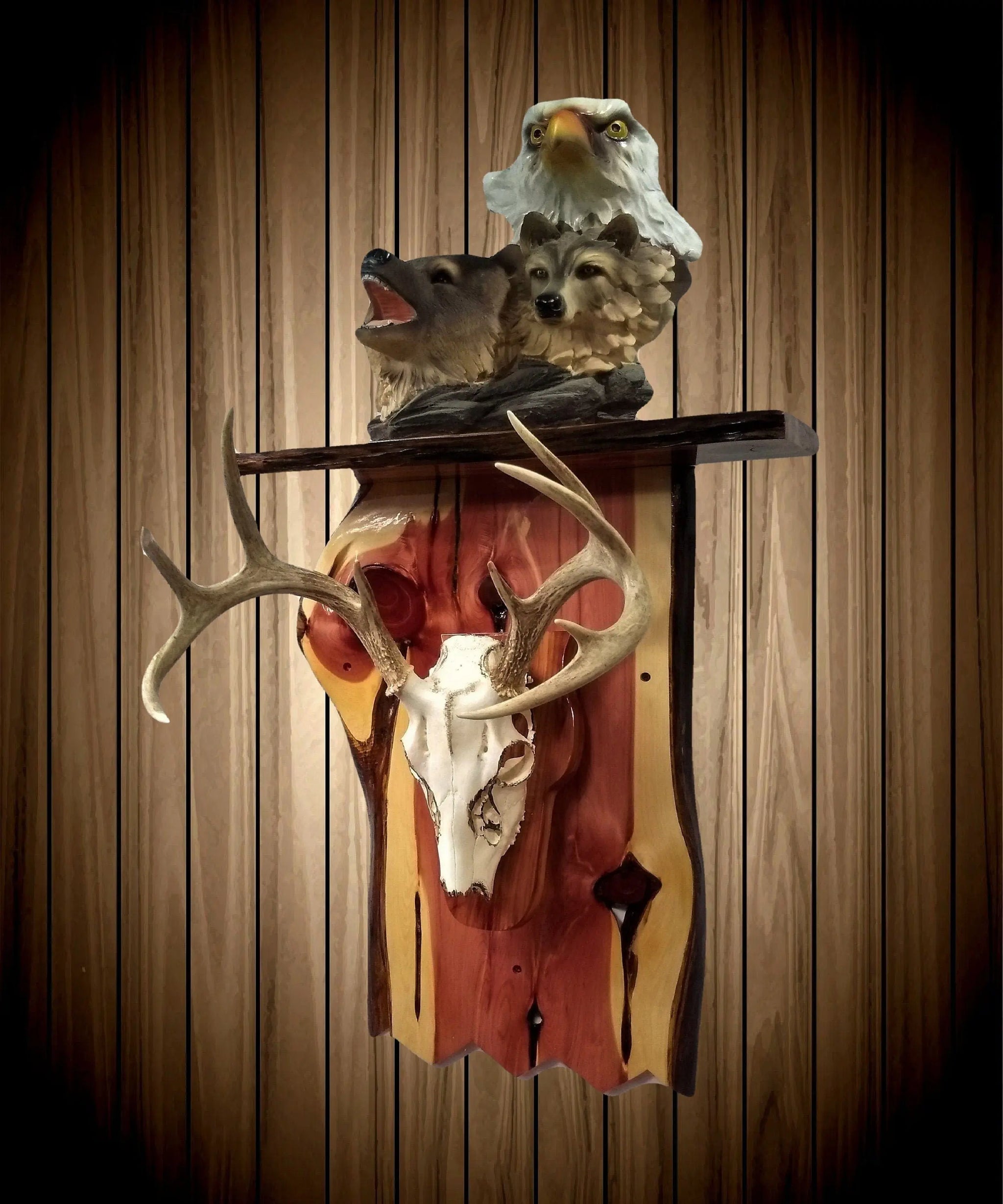 Display Shelf with European Deer Skull and Horns [2023]